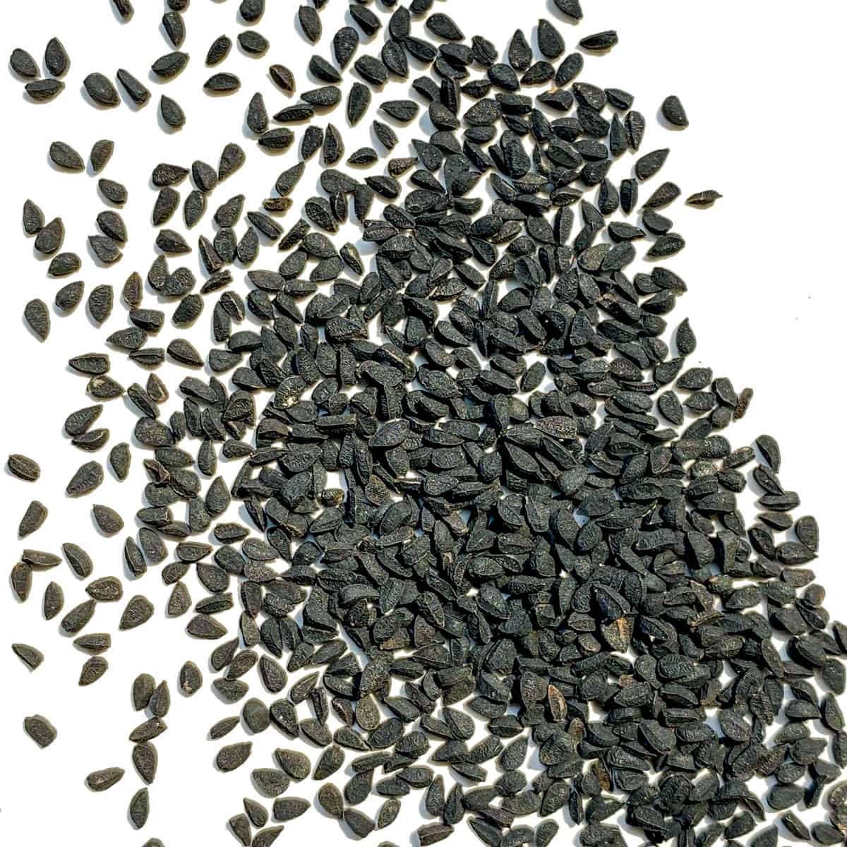 Nigella Seeds
