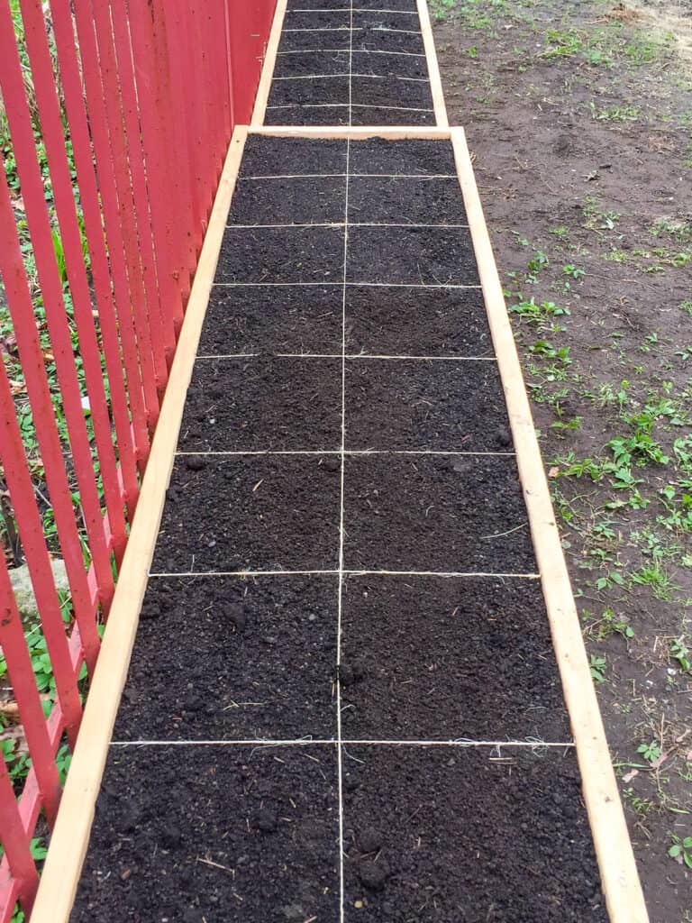 Plant Spacing in the Square Foot Garden