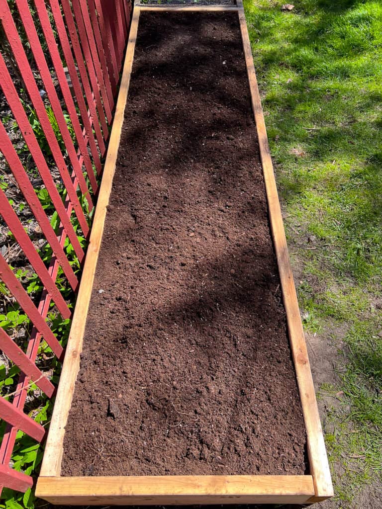 Plant Spacing in the Square Foot Garden