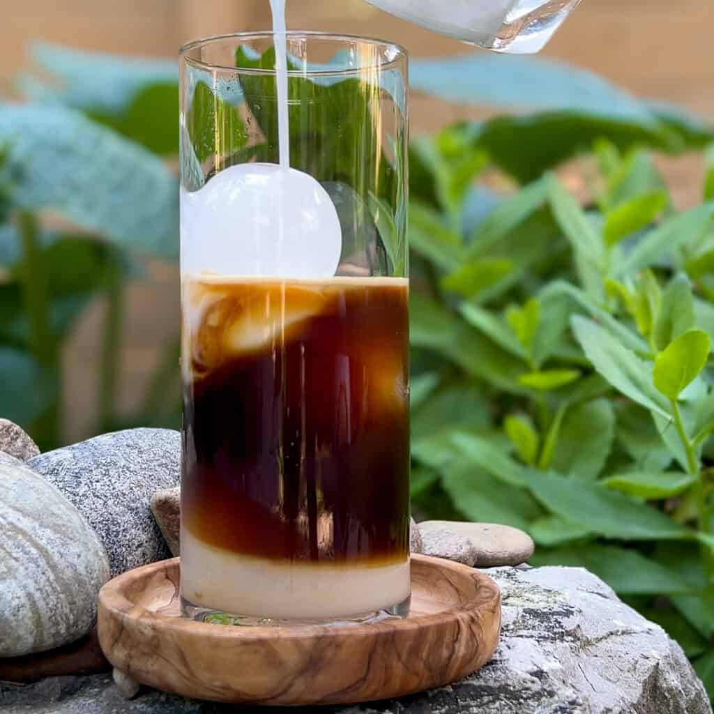 Iced Coconut Coffee