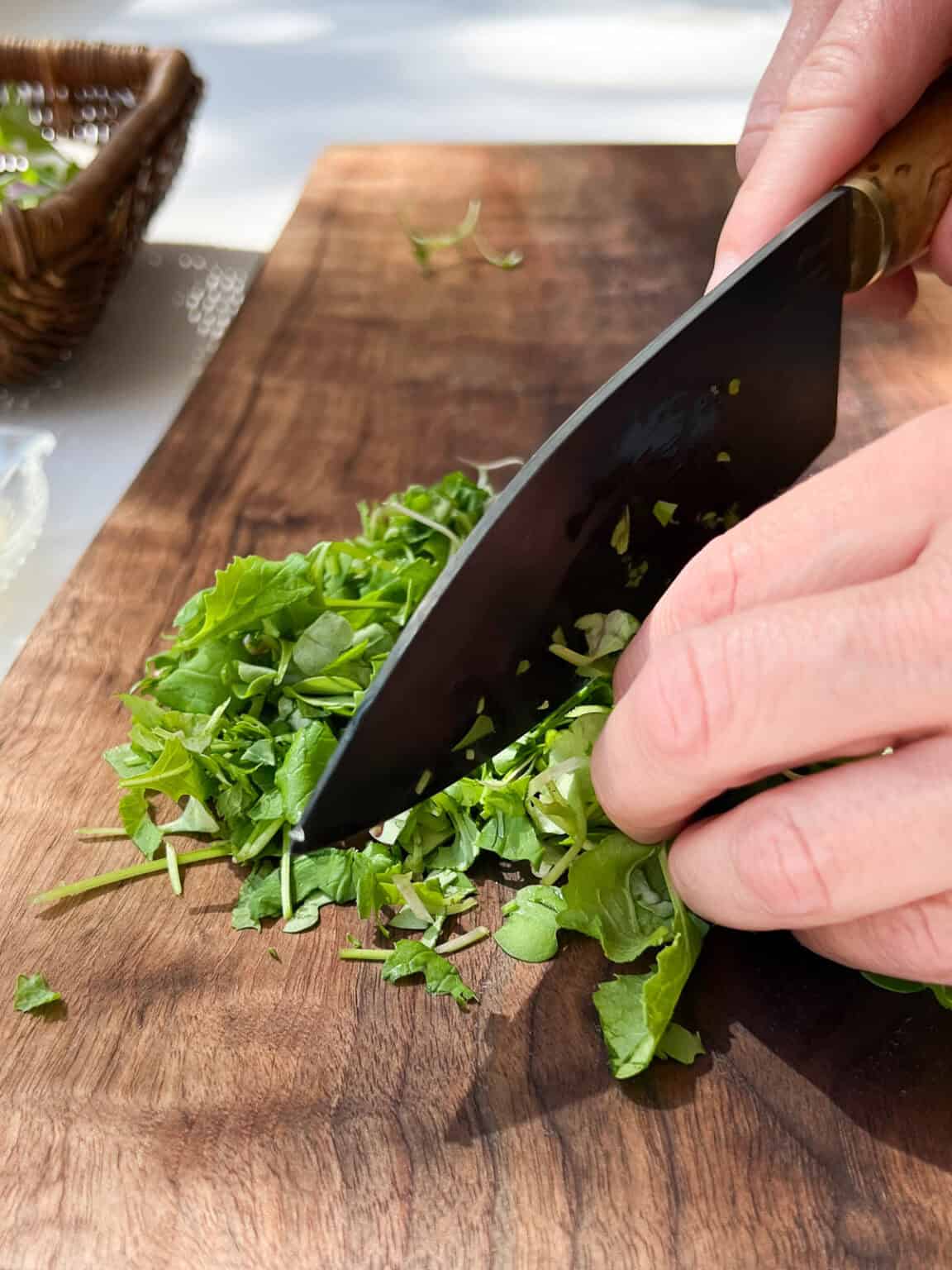 Radish Leaf, Tomato, Mint, and Lime Salsa